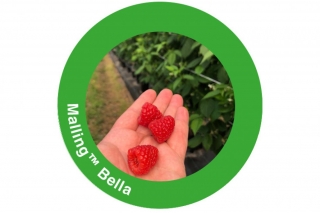 Nasza Oferta - Fieldstone Investments